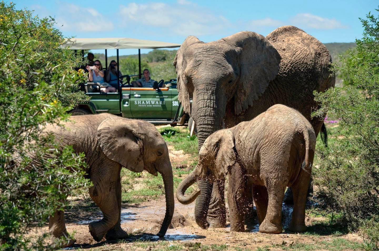 CAPE TOWN, SAFARI & MAURITIUS BUCKET LIST TRIP APR 26 | Guru Travel Group