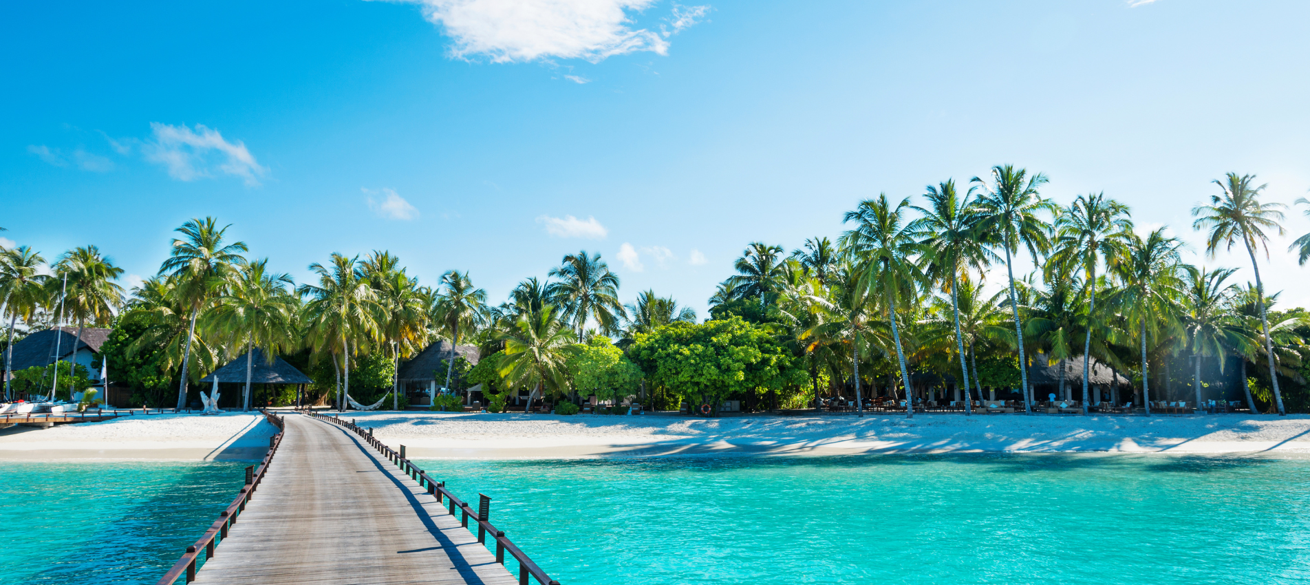 Latest Deals | Guru Travel Group